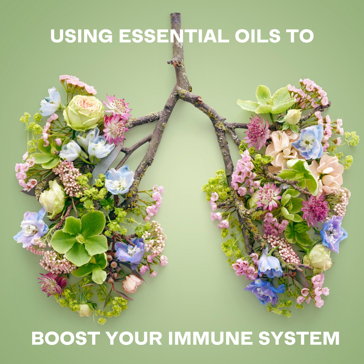 Using Essential Oils to Boost Your Immune System Against Viruses: A Fo ...