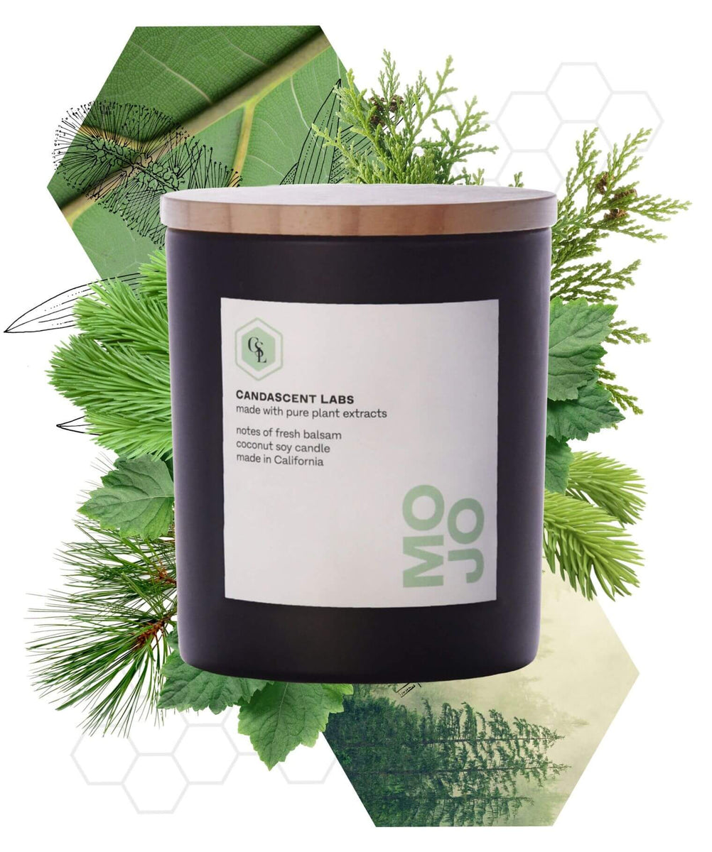 MOJO - Forest Bathing Candle | CandaScent Labs